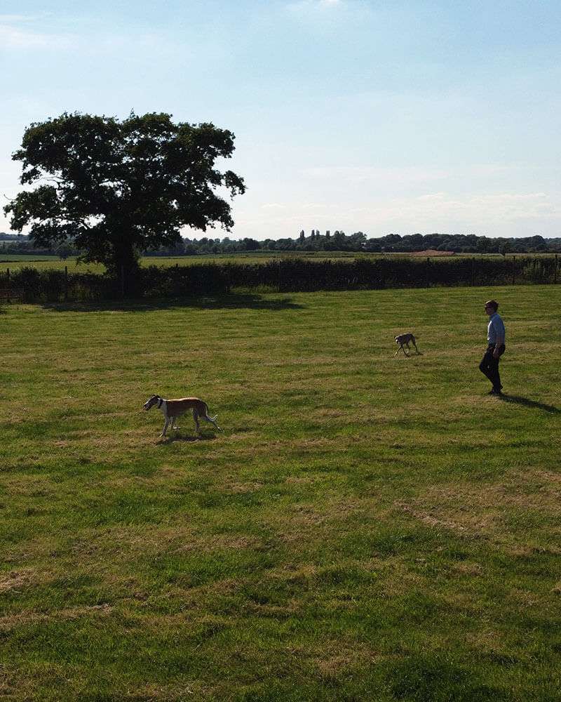 Home - Stratford Dog Walking Field